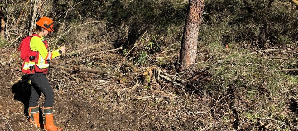 Forest Management and Forest Operations - New Castle Engineering